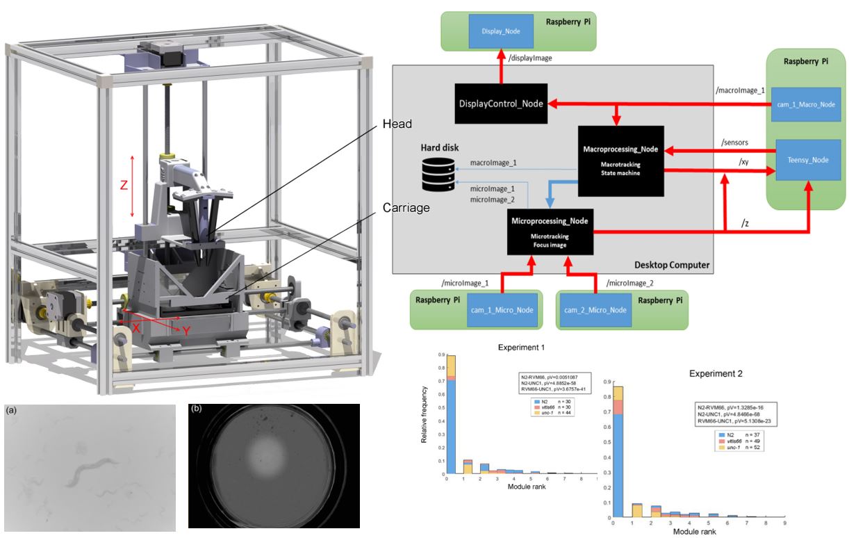 MULTI-VIEW PROTOTYPE - Avicemis